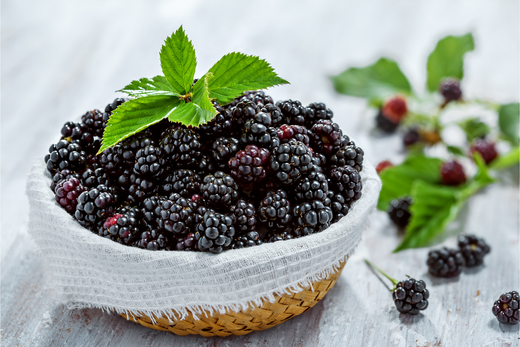 The Sweet History of Blackberries – The Happy Food Company
